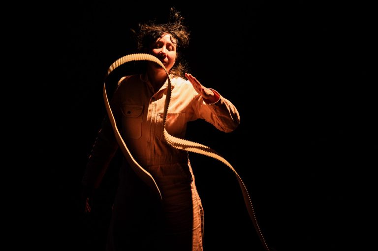 Incarnations transitoires - Les Voyagements